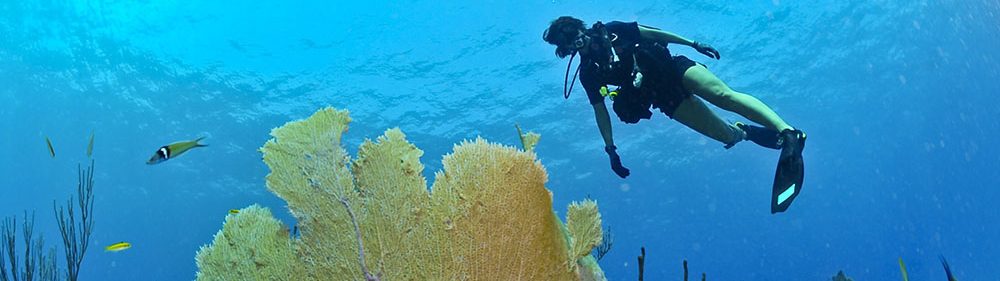 Native Diving Center Ecuador